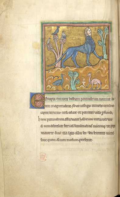 Manticore - New World Encyclopedia