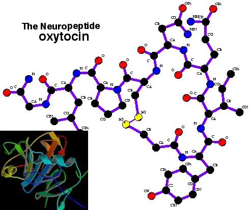 Oxytocin - New World Encyclopedia