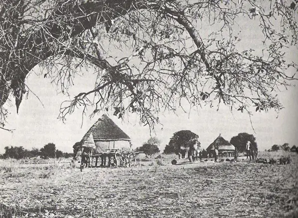 Dinka - New World Encyclopedia