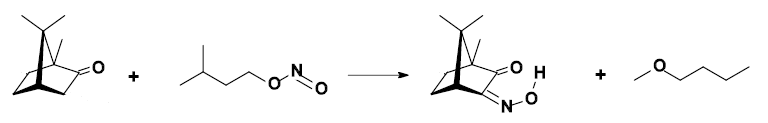 Camphor - New World Encyclopedia