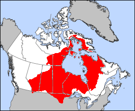 Hudson Bay - New World Encyclopedia
