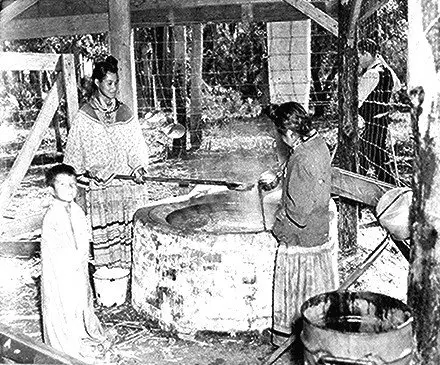 Seminole - New World Encyclopedia