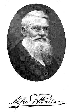 Alfred Russel Wallace - New World Encyclopedia