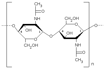 Chitin - New World Encyclopedia