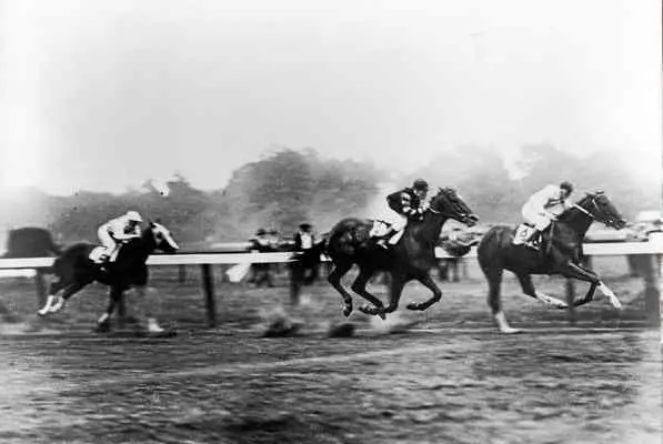 Man o' War - New World Encyclopedia