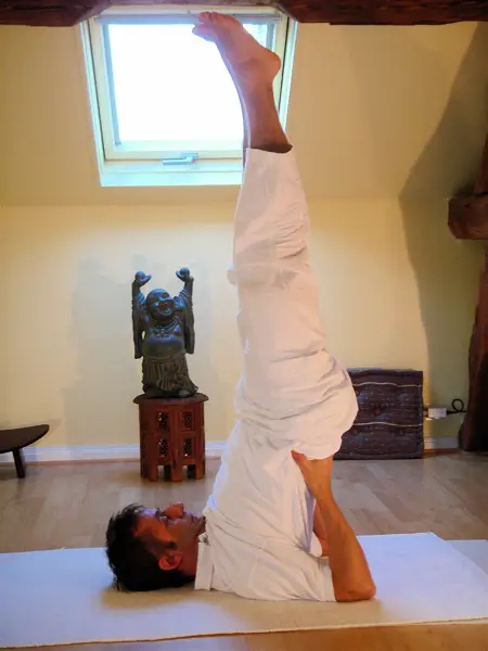 Asana - New World Encyclopedia