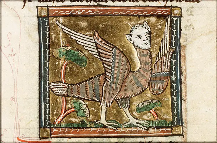 Harpy - New World Encyclopedia