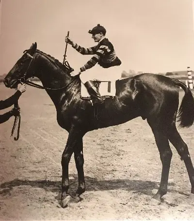 Man o' War - New World Encyclopedia