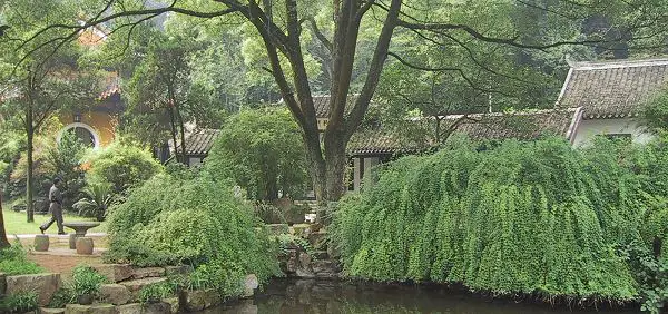 Academies (Shuyuan) - New World Encyclopedia