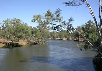 Murray River - New World Encyclopedia