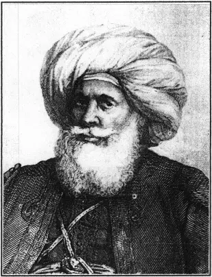 Muhammad Ali Pasha the Great - New World Encyclopedia