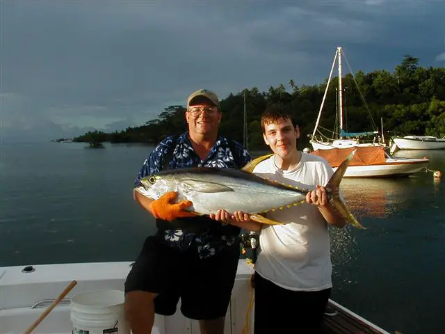 Homeschooling - New World Encyclopedia