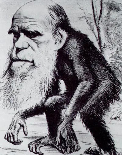 Charles Darwin - New World Encyclopedia