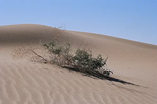 Takla Makan Desert - New World Encyclopedia