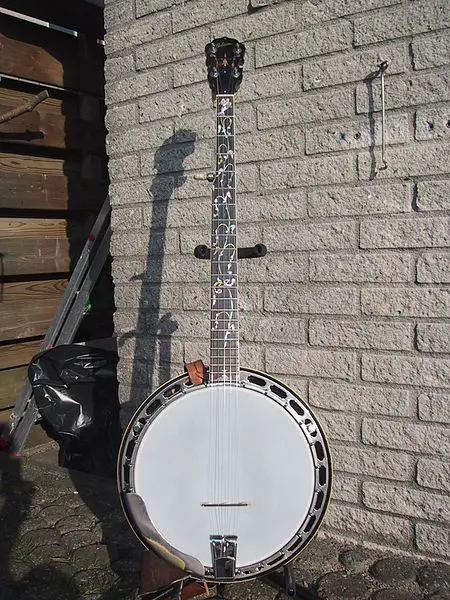 Banjo - New World Encyclopedia