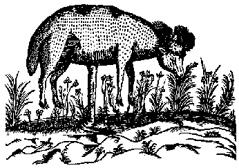 Mythical creature - New World Encyclopedia