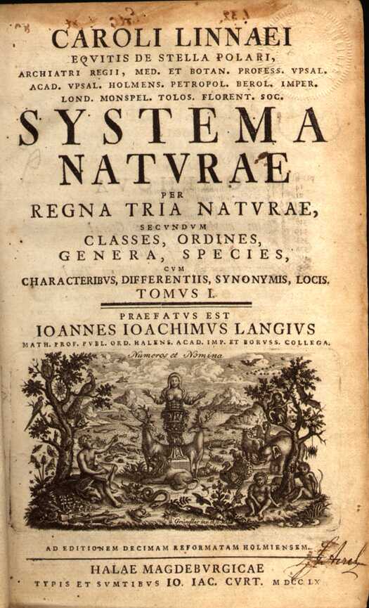 Carolus Linnaeus - New World Encyclopedia
