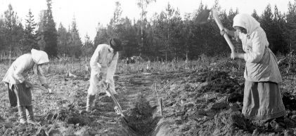 Finnish Civil War - New World Encyclopedia