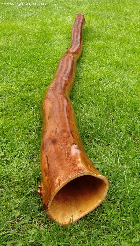 Musical instrument - New World Encyclopedia