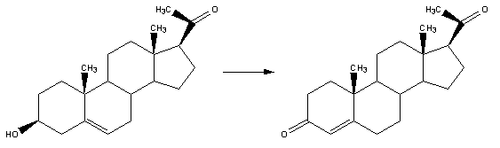 Progesterone - New World Encyclopedia
