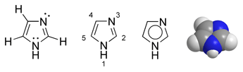 Histidine - New World Encyclopedia