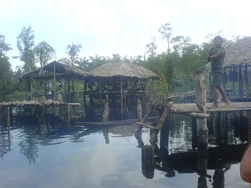 Orinoco River - New World Encyclopedia