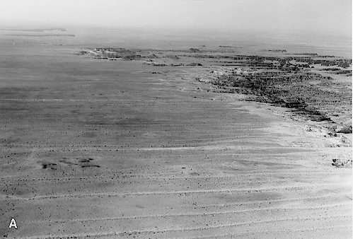 Dune - New World Encyclopedia