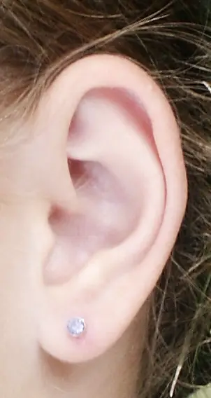 Ear - New World Encyclopedia