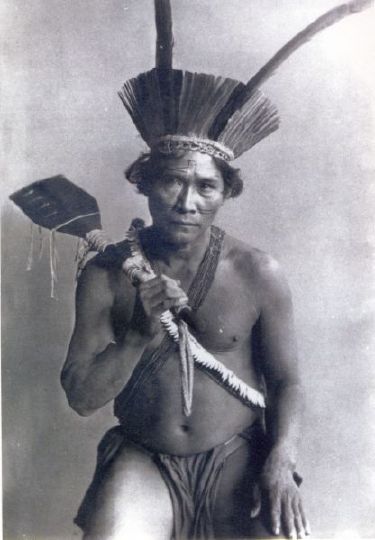 French Guiana - New World Encyclopedia