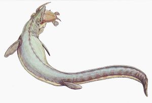 Mosasaur - New World Encyclopedia