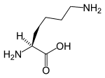 Lysine - New World Encyclopedia