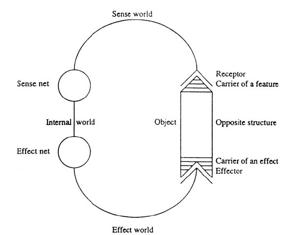 Jakob von Uexküll - New World Encyclopedia