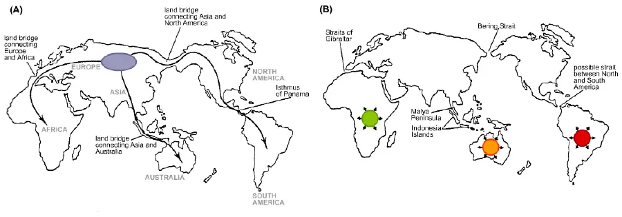 Evidence of evolution - New World Encyclopedia