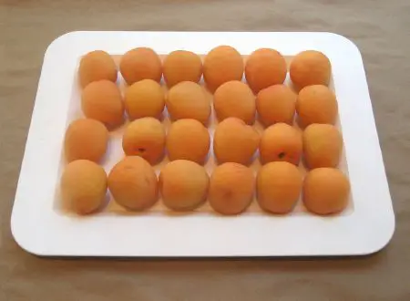 Apricot - New World Encyclopedia