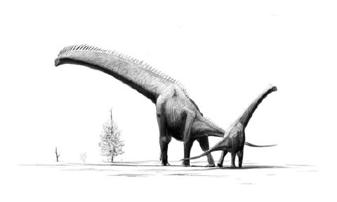 Dinosaur - New World Encyclopedia