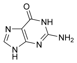 Purine - New World Encyclopedia