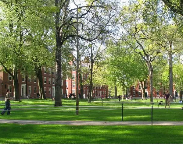 College - New World Encyclopedia