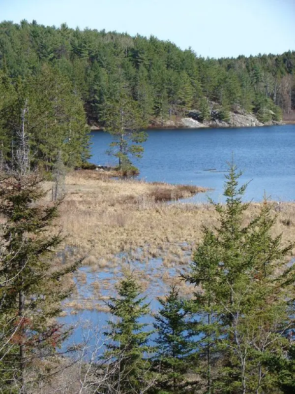 Canadian Shield - New World Encyclopedia