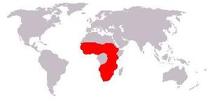 Aardvark - New World Encyclopedia