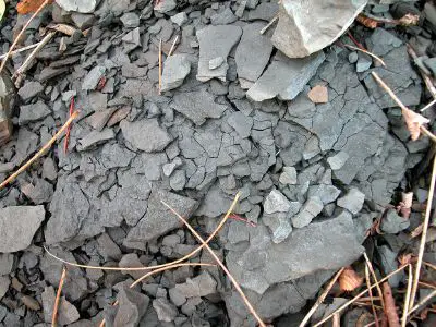 Shale - New World Encyclopedia