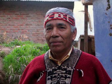 Mapuche - New World Encyclopedia