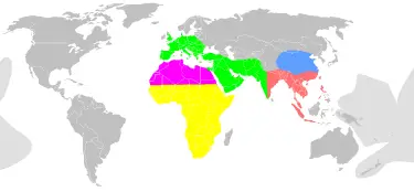 Carleton S. Coon - New World Encyclopedia