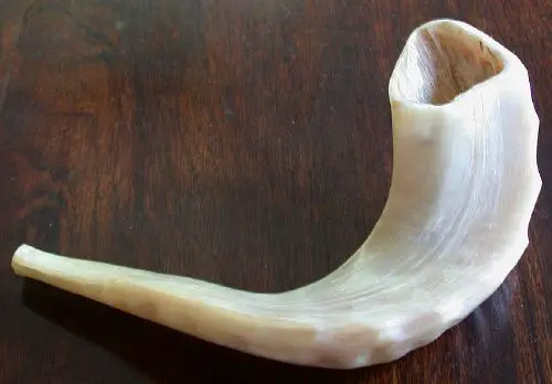 Shofar - New World Encyclopedia