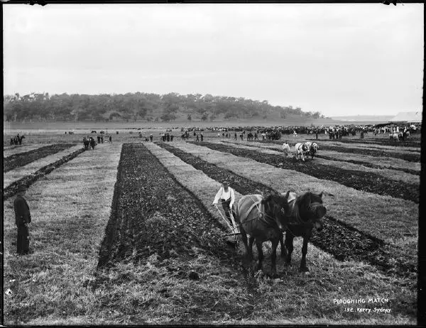 Plow - New World Encyclopedia