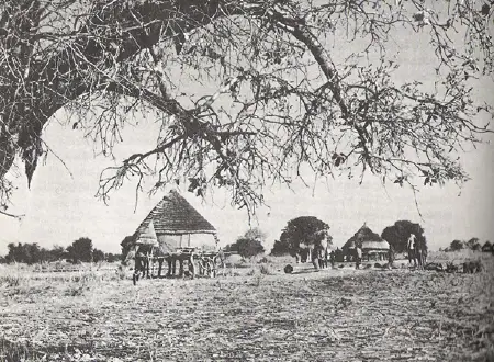 Dinka - New World Encyclopedia