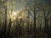 Ice - New World Encyclopedia