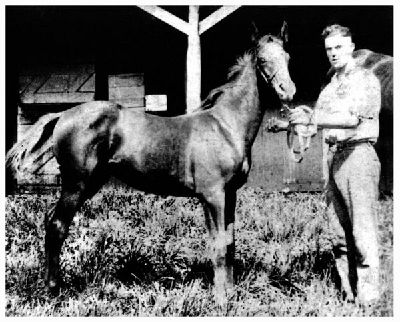 Man o' War - New World Encyclopedia