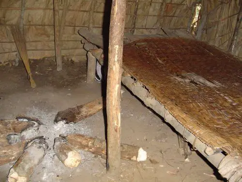 Pygmy - New World Encyclopedia