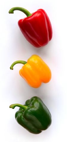 Bell pepper - New World Encyclopedia