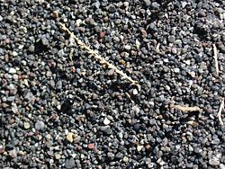 Sand - New World Encyclopedia
